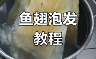 发干鱼翅最简单的方法_干鱼翅怎么泡发最快