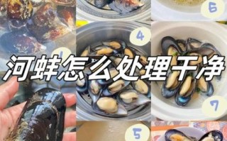 青口贝内脏在哪里_如何清理青口贝内脏