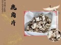 鹿角的功效与作用_鹿角怎么吃效果最好