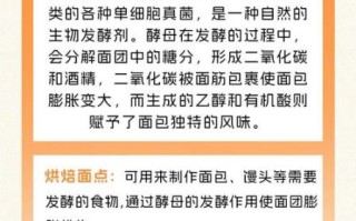 苏打粉可以发酵面粉吗_苏打粉与酵母区别