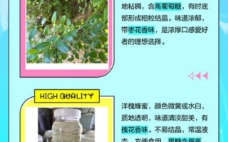 枣花蜂蜜好还是槐花蜂蜜好_哪个更适合你