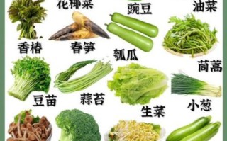 春季时令蔬菜有哪些_夏季时令蔬菜有哪些