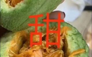 芝麻香瓜的功效与作用_芝麻香瓜怎么吃最营养