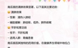 南瓜苗的功效与禁忌_孕妇能吃吗