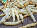 竹节虫吃什么_竹节虫食物有哪些