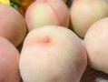 南汇水蜜桃多少钱一斤_南汇水蜜桃价格表2024