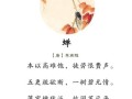 夏蝉鸣的声音怎么形容_夏蝉鸣代表什么季节
