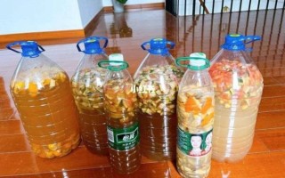 自制水果酵素喝死人_真相是什么