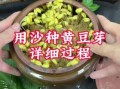 怎么生黄豆芽最简单的方法_黄豆芽发芽步骤