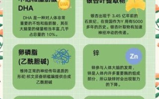 最补脑的食物有哪些_吃什么提高记忆力