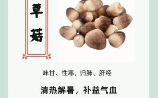 草菇菌种多少钱一斤_草菇怎么种植