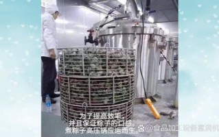 专业煮粽子的锅怎么选_专业煮粽子的锅多少钱