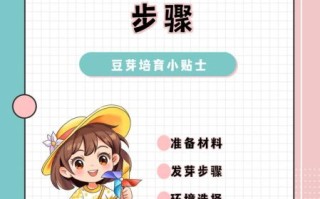 生豆芽怎么发_生豆芽的步骤与方法