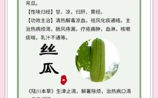 丝瓜的功效与作用及禁忌是什么_丝瓜怎么吃不上火