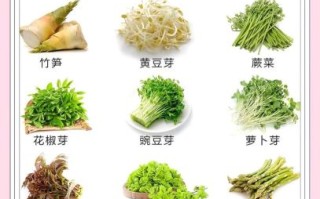 春季饮食养生吃什么_春季饮食养生注意什么