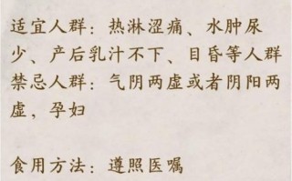 小通草的功效与作用_小通草怎么吃效果最好