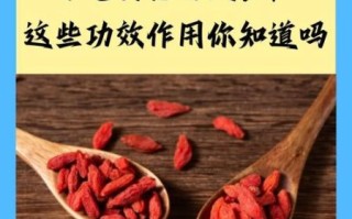 女人吃枸杞有什么好处_女人吃枸杞的副作用