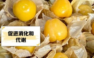 姑娘果怎么吃_姑娘果的功效与作用