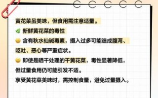 女人经常吃黄花菜好吗_黄花菜对女性的好处与禁忌