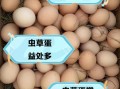 虫草鸡蛋的功效与作用_虫草鸡蛋适合什么人吃