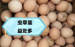 虫草鸡蛋的功效与作用_虫草鸡蛋适合什么人吃