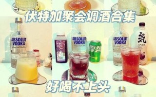 伏特加怎么喝_伏特加多少度