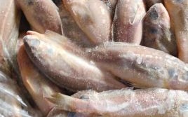 冷冻小黄花鱼怎么做好吃_冷冻小黄花鱼的做法