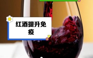 葡萄酒的功效与作用及食用方法_每天喝多少才健康