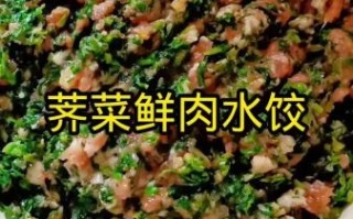 荠菜素饺子馅怎么调才好吃_荠菜素饺子馅的做法窍门