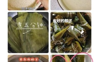 粽子糯米泡多久可以包_糯米泡多久才软糯