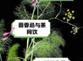 茴香不能和什么一起吃_茴香相克食物有哪些