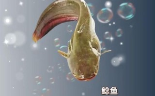 哪三种致癌鱼不能吃_致癌鱼有哪些