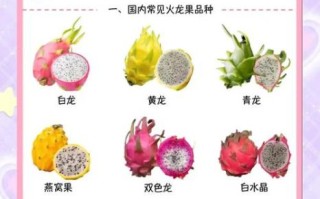 火龙果减肥法十多斤_多久见效