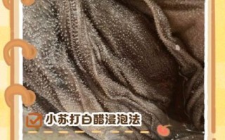 牛百叶怎么洗才能干净_牛百叶清洗技巧