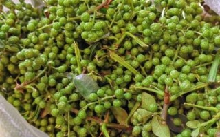 自制干花椒油怎么做_花椒油保存多久