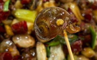 酱爆海螺怎么做_酱爆海螺的家常做法