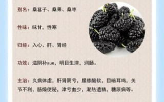 桑葚的功效与作用_桑葚怎么保存