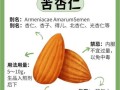 苦杏仁的正确吃法怎么做_苦杏仁怎么吃不中毒