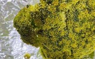 西兰花变黄脱籽还能吃吗_西兰花变黄脱籽怎么处理