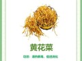 黄花菜有毒吗_新鲜黄花菜怎么处理
