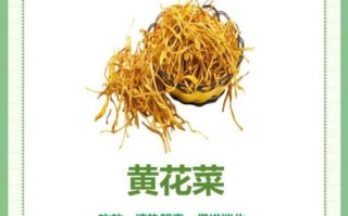 黄花菜有毒吗_新鲜黄花菜怎么处理