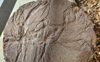 油茶籽油多少钱一斤_正宗茶油价格行情