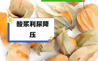 酸浆怎么做好吃_酸浆的做法大全