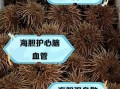 海胆有毒吗_海胆刺伤中毒怎么办