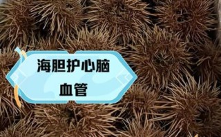 海胆有毒吗_海胆刺伤中毒怎么办