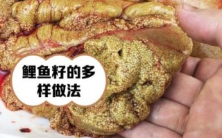 鲤鱼籽的营养价值_孕妇能吃吗