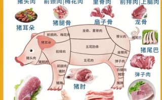 猪肉怎么选才新鲜_猪肉哪个部位最好吃
