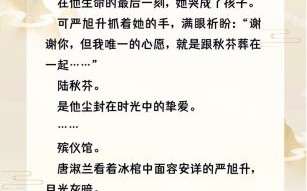 炖肉计是今小说讲的什么_结局是HE还是BE