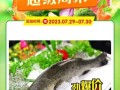 新鲜鲈鱼多少钱一斤_鲈鱼价格今日行情