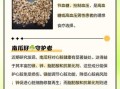 男人吃南瓜子的好处_南瓜子对男性有哪些功效
